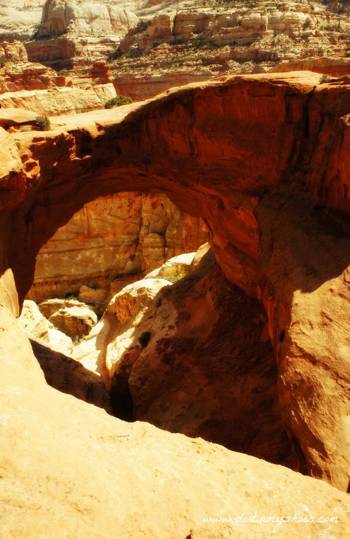 12 Things You Can't Miss On Your First Visit to Capitol Reef