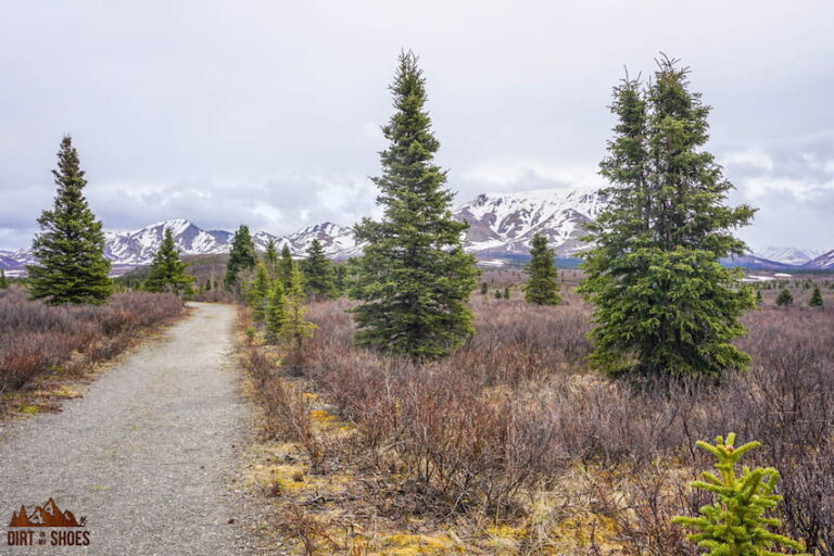 10 Things You Can't Miss On Your First Visit to Denali - Page 3 of 3
