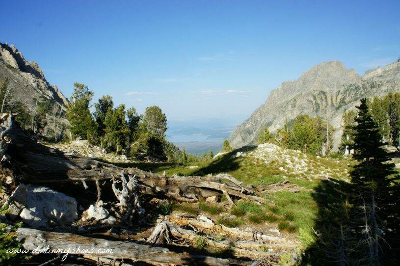 Paintbrush Canyon Trail Guide — Grand Teton National Park