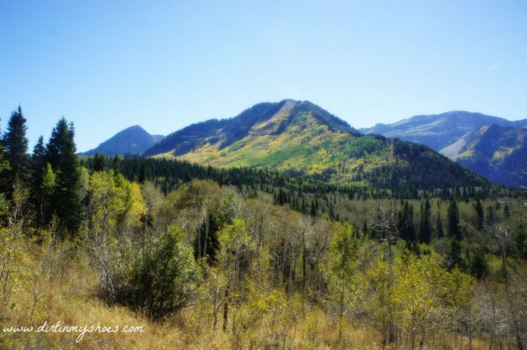 The Best of Utah! Fall Colors Along the Scenic Alpine Loop