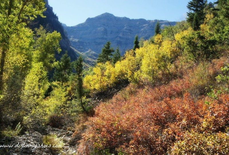 The Best of Utah! Fall Colors Along the Scenic Alpine Loop
