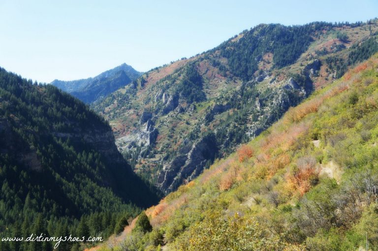 The Best of Utah! Fall Colors Along the Scenic Alpine Loop