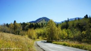 The Best of Utah! Fall Colors Along the Scenic Alpine Loop