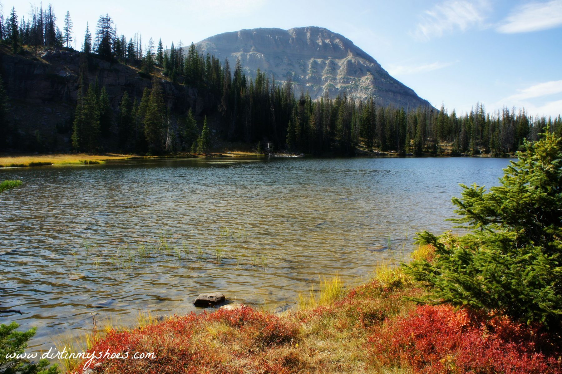 The Best of Utah! Fall Colors Along the Mirror Lake Highway
