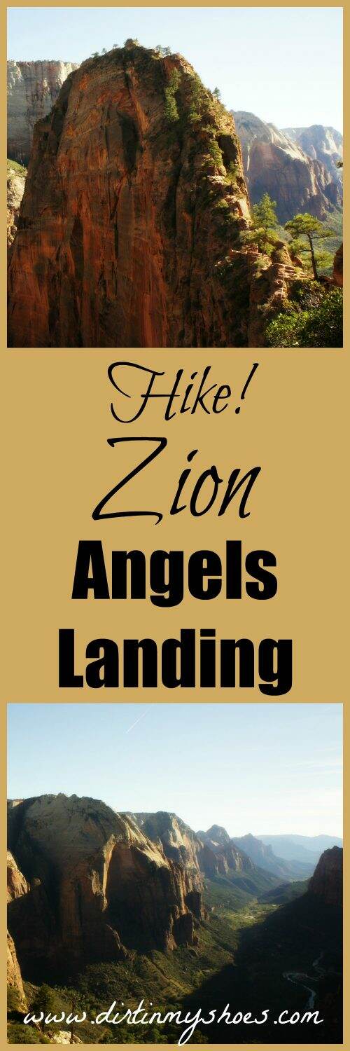 Hike! Zion - Angels Landing | Dirt In My Shoes