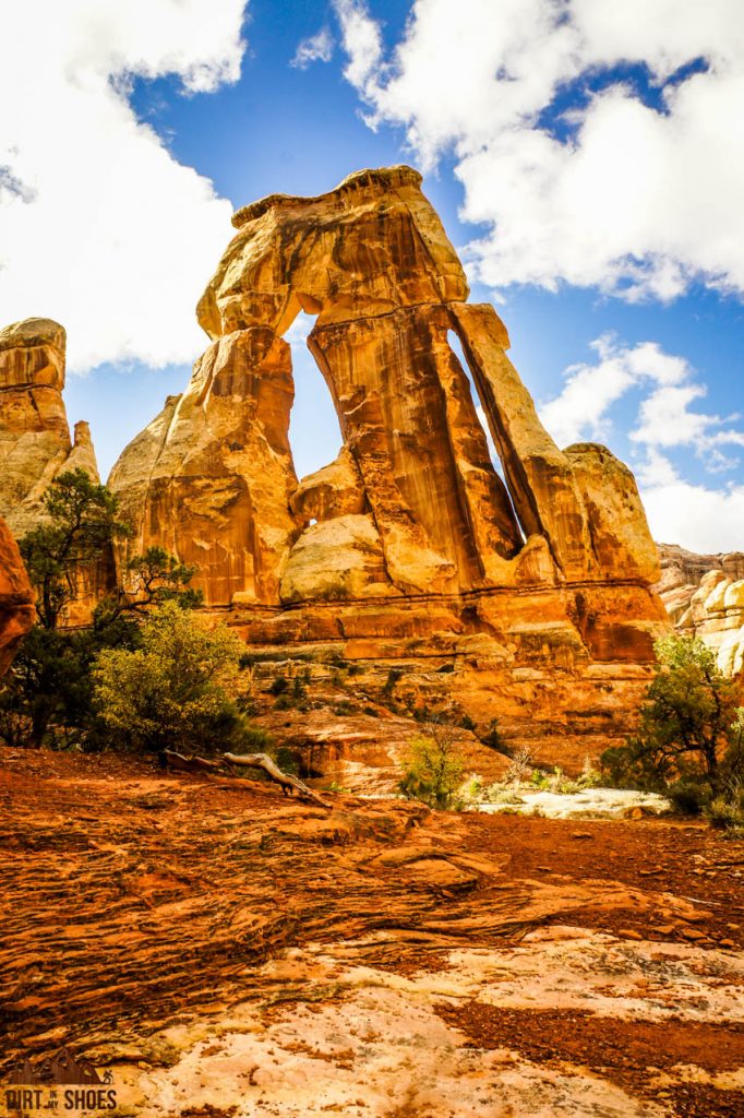 12 Things You Can't Miss on Your First Visit to Canyonlands