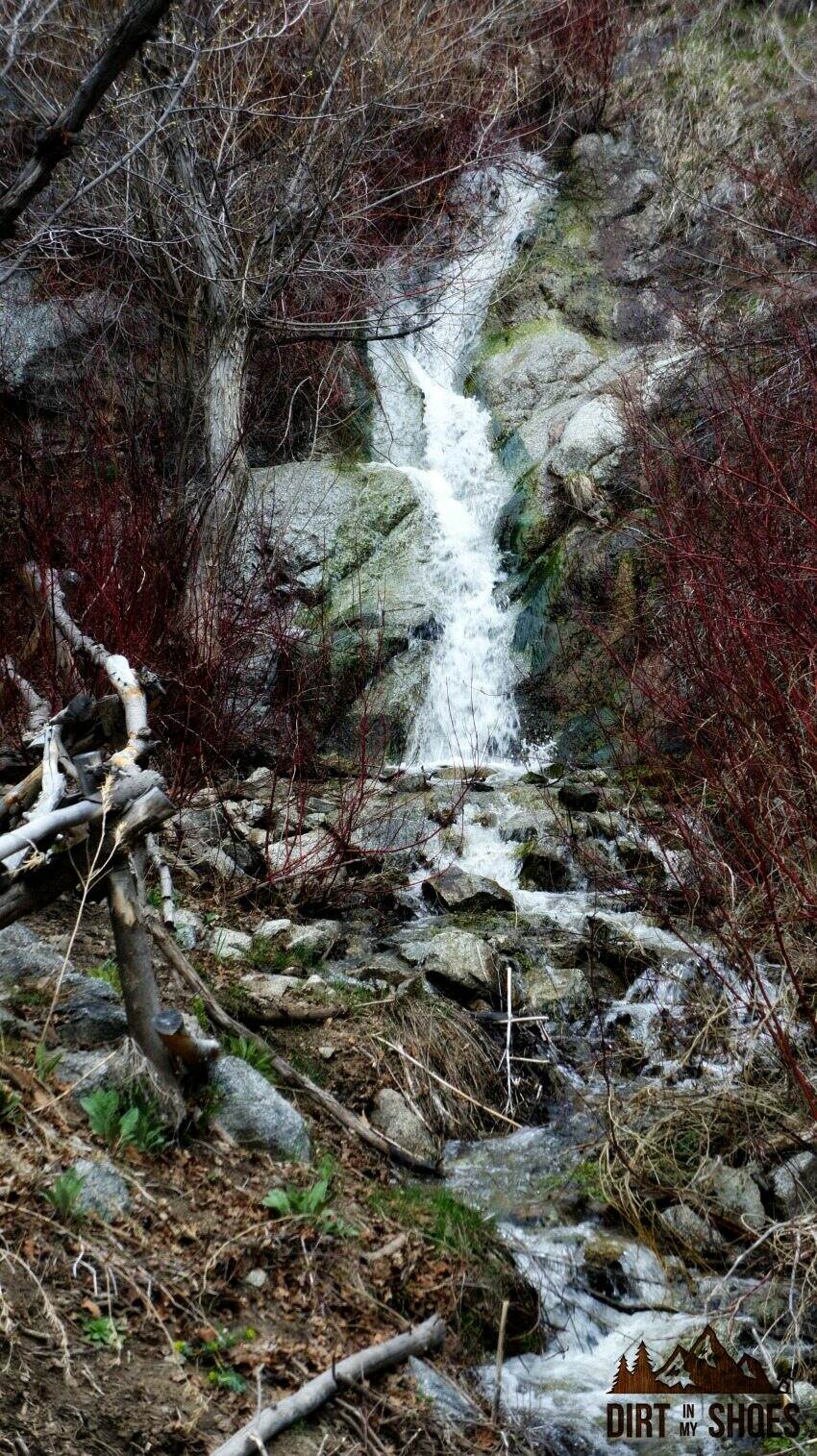8 Spectacular Spring Hikes Near Salt Lake City