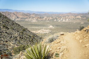 Ryan Mountain Trail Guide — Joshua Tree National Park