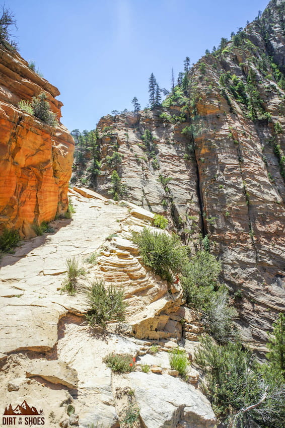 The Observation Point Trail Guide — Zion National Park