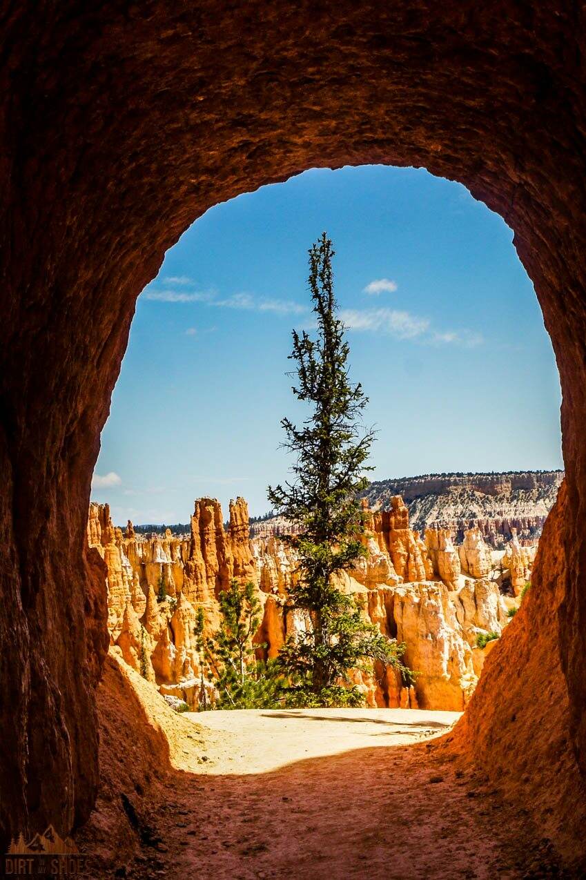 Hike! Bryce Canyon -- The Figure 8 {Navajo Loop, Peek-a-Boo Loop ...