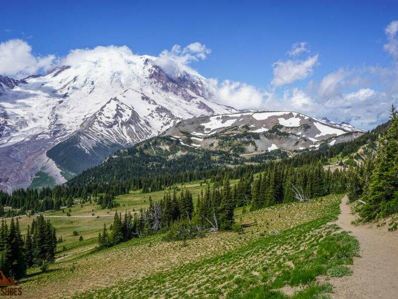 5 Fascinating Fun Facts About Mount Rainier National Park