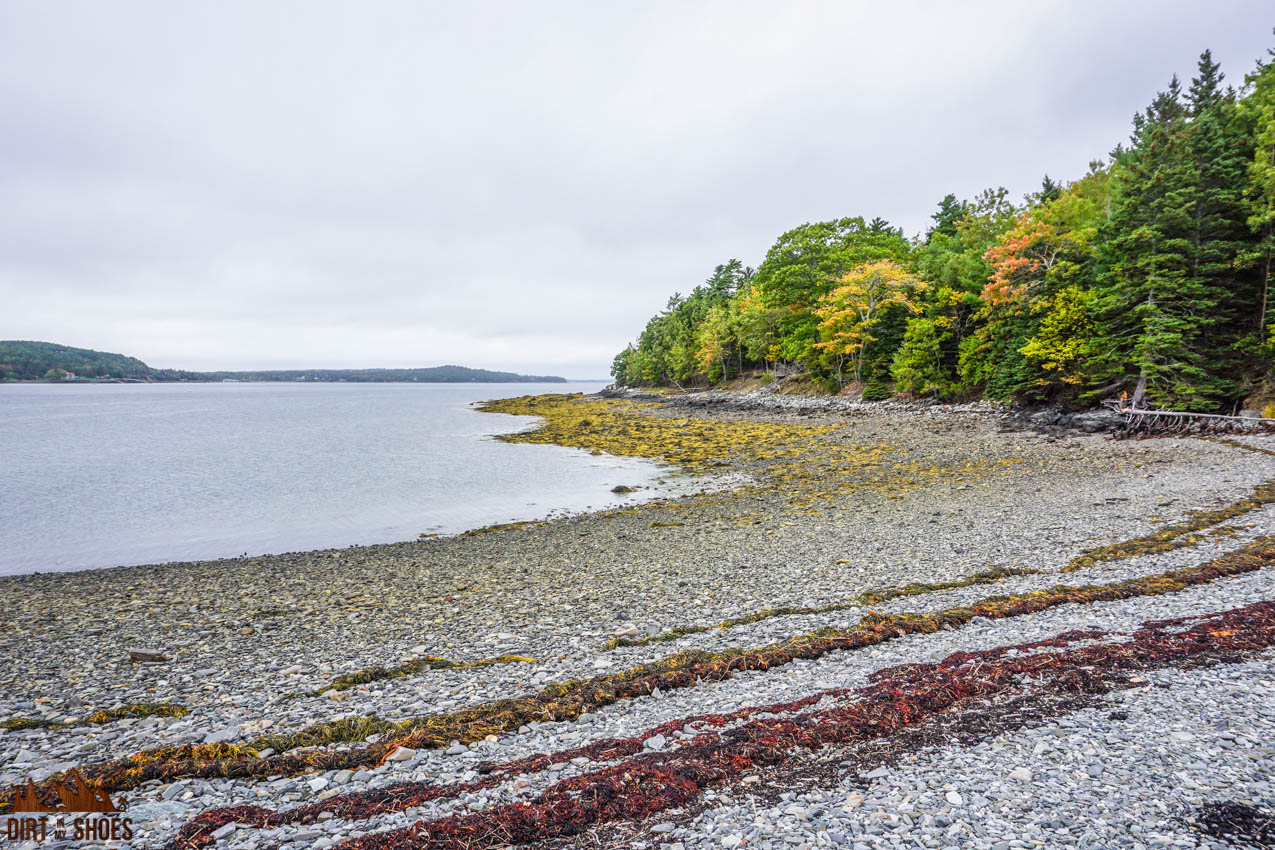 10 Things You Can't Miss On Your First Visit to Acadia - Page 2 of 3