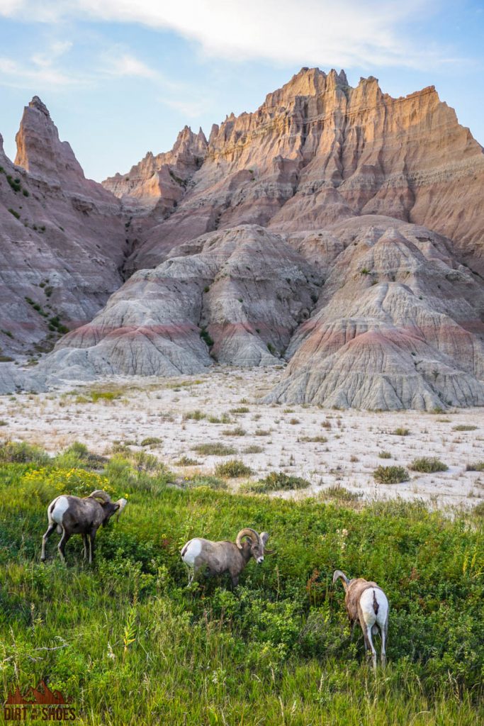 8 Things You Can't Miss On Your First Visit to Badlands