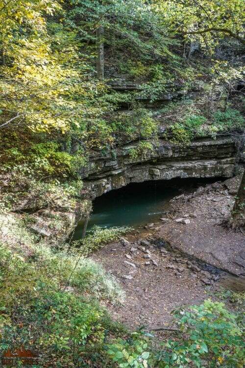 8 Things You Can't Miss On Your First Visit to Mammoth Cave - Page 3 of 3
