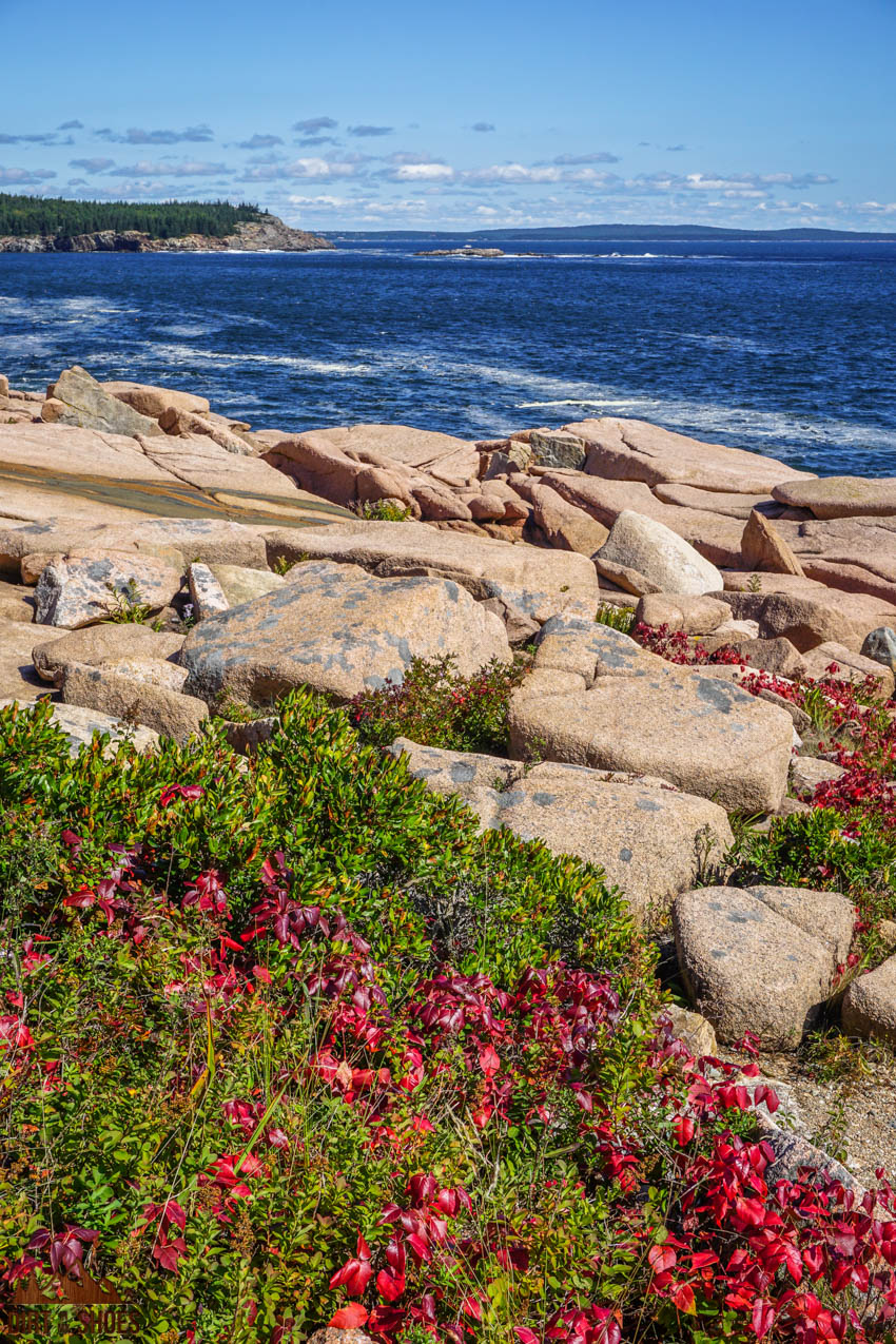 Camping in Acadia National Park: How to Get a Site