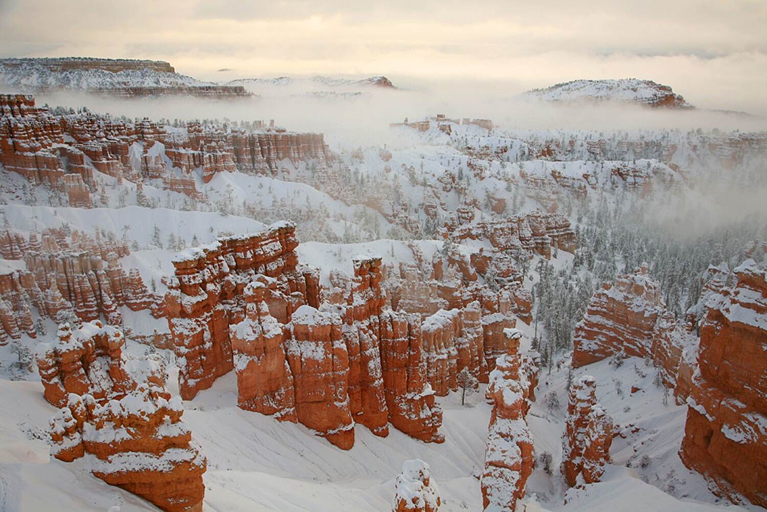 The Best Times to Visit Bryce Canyon National Park