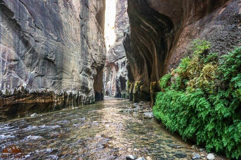 A Detailed Guide to Hiking The Narrows in Zion National Park - Page 4 of 4