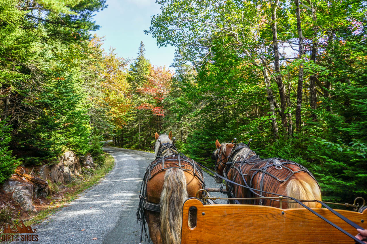10 Things You Can't Miss On Your First Visit to Acadia - Page 2 of 3