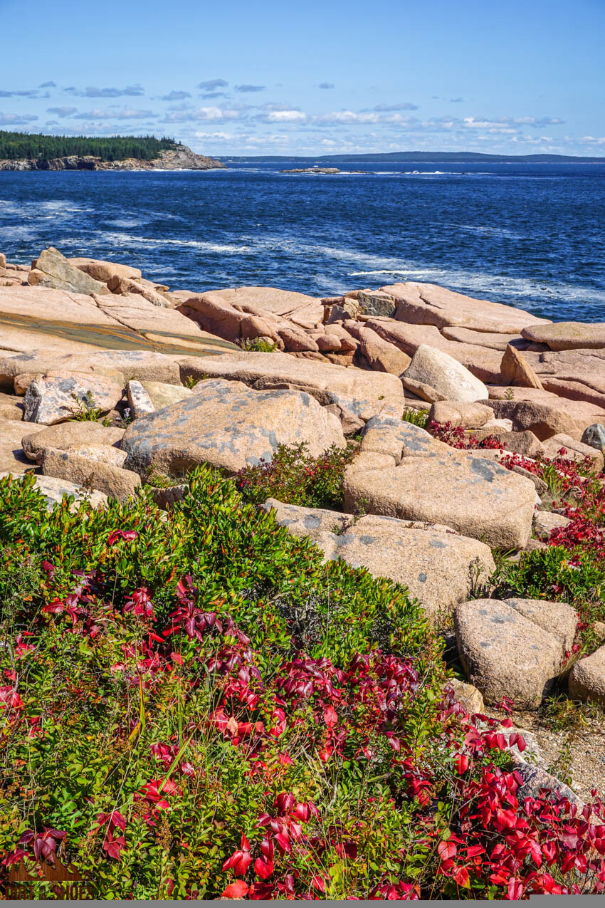 10 Things You Can't Miss On Your First Visit to Acadia - Page 2 of 3