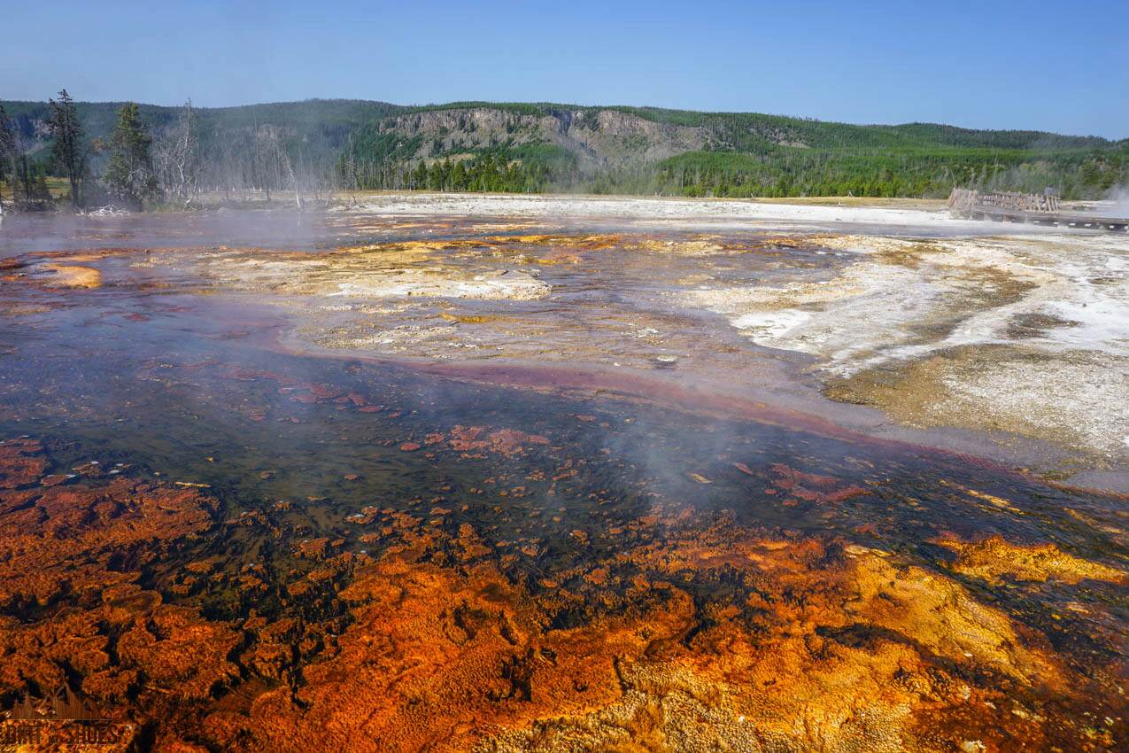 5 Steps to Planning the Perfect Trip to Yellowstone