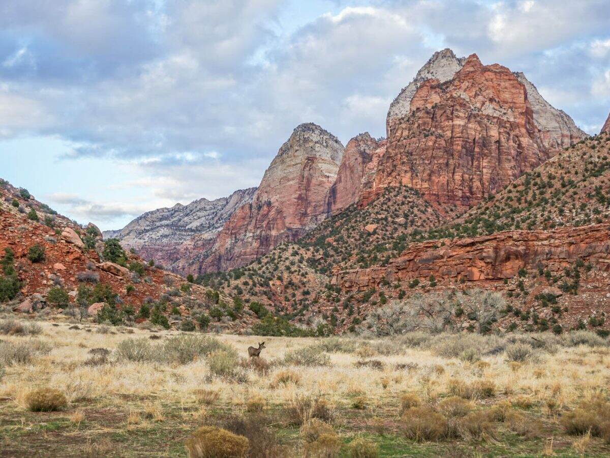 Zion Itinerary | Dirt In My Shoes