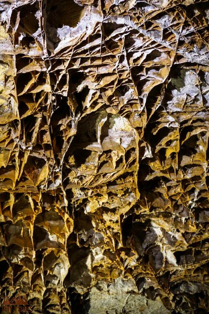 5 Things You Can't Miss On Your First Visit to Wind Cave - Page 2 of 2