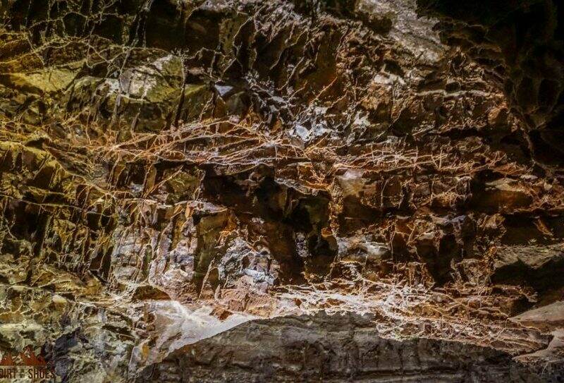 5 Things You Can't Miss On Your First Visit to Wind Cave