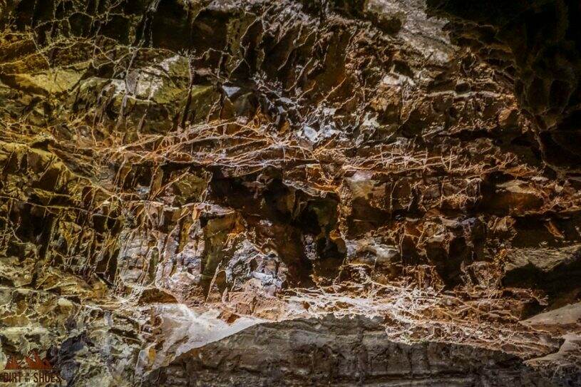 5 Things You Can't Miss On Your First Visit to Wind Cave