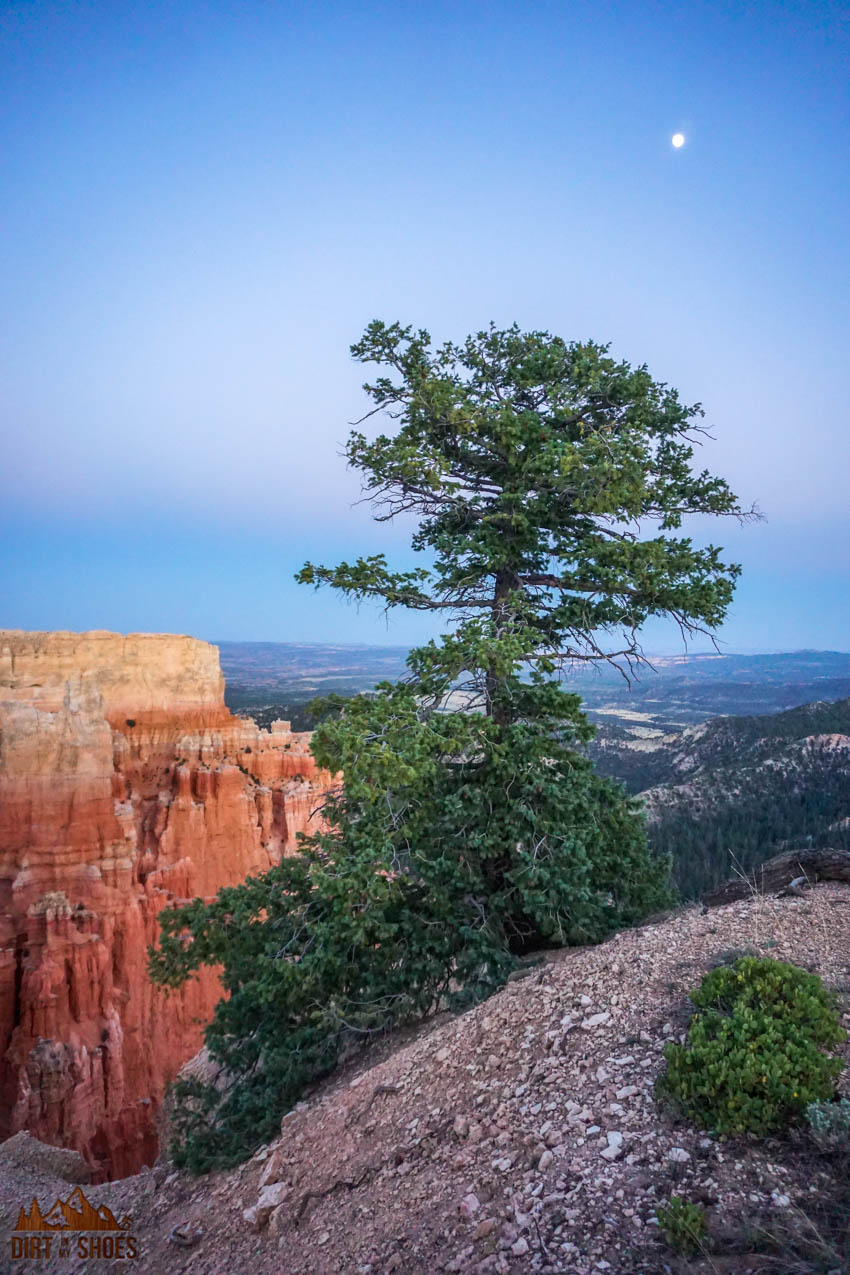 The Ultimate Bryce Canyon Trip Planning Guide
