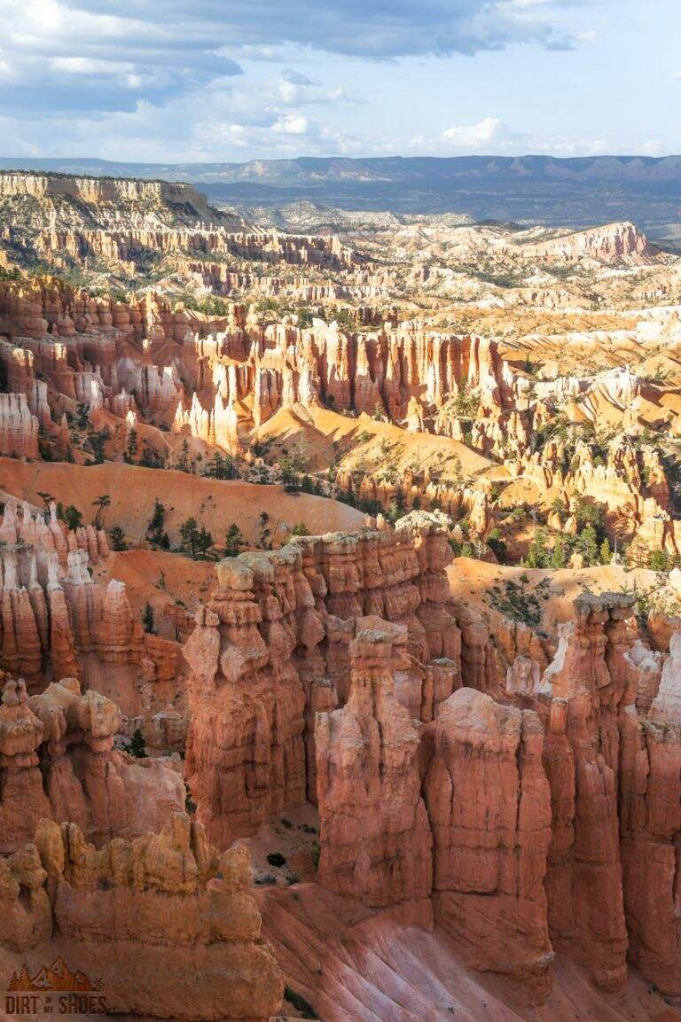 Dogs in Bryce Canyon National Park: Pet Rules Explained