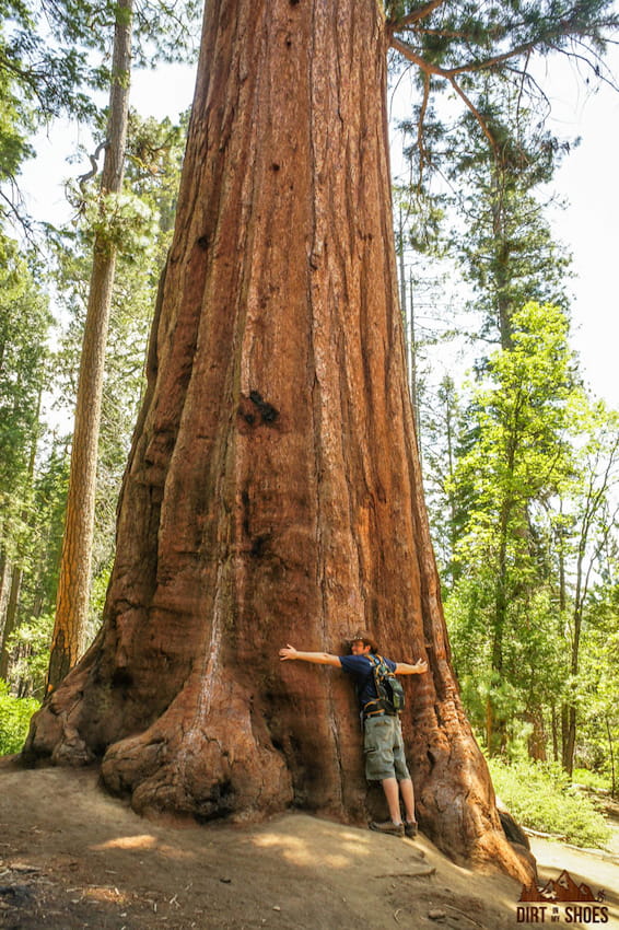 5 Best Short and Easy Hikes in Yosemite National Park