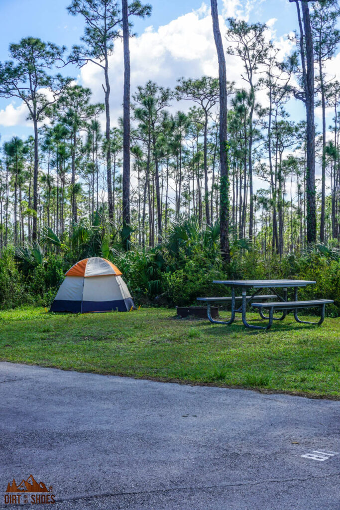 Camping in Everglades National Park: How to Get a Site