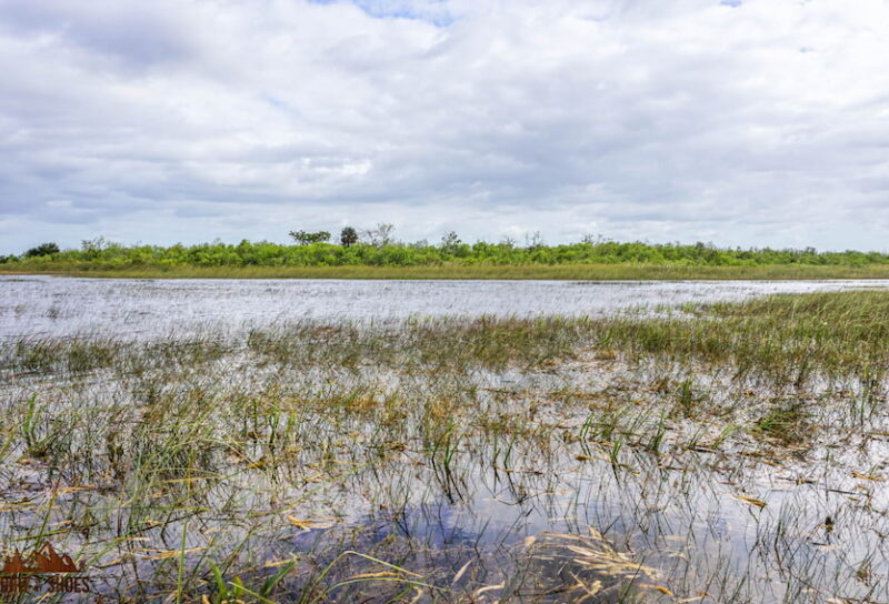 Is Everglades National Park Open Year-Round? Weather, Hours, and Closures