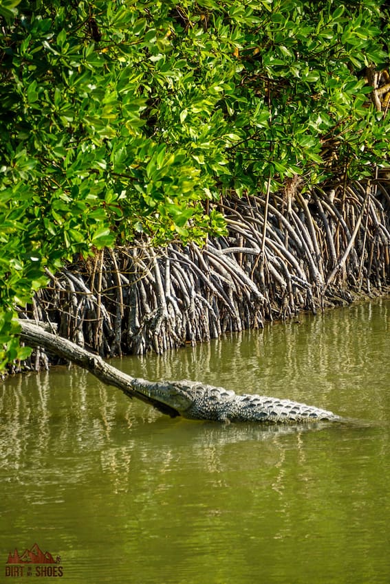 How Many Days Should I Spend in Everglades National Park?