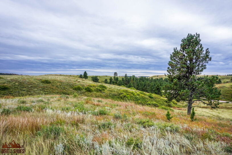 Best Things to Do at Wind Cave: For Every Traveler