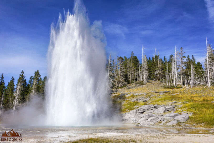 Yellowstone Fun Facts: 5 Things You Didn't Know!