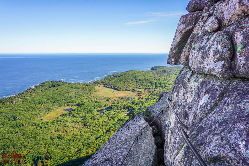 Dogs in Acadia National Park: Pet Rules Explained