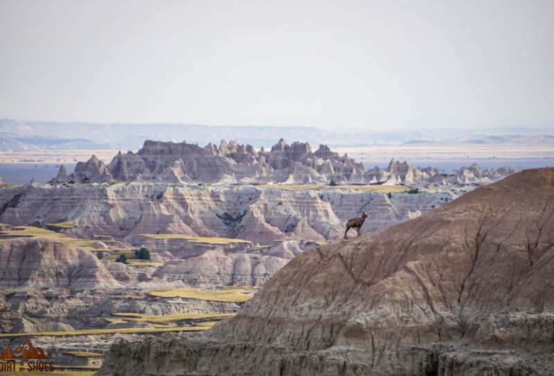 Badlands Fun Facts