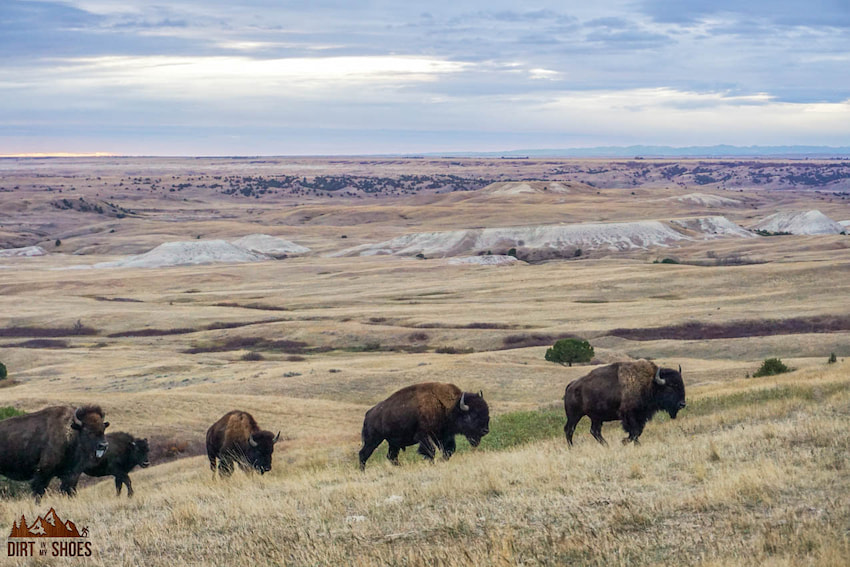 5 Best Short and Easy Hikes in Badlands National Park