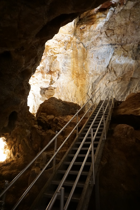 Best Things to Do at Wind Cave: For Every Traveler