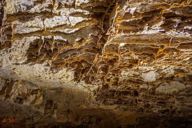 Best Things to Do at Wind Cave: For Every Traveler