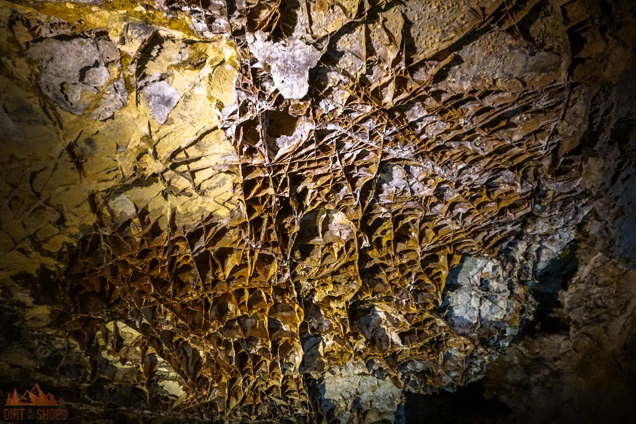 The Ultimate Wind Cave Trip Planning Guide - Dirt In My Shoes