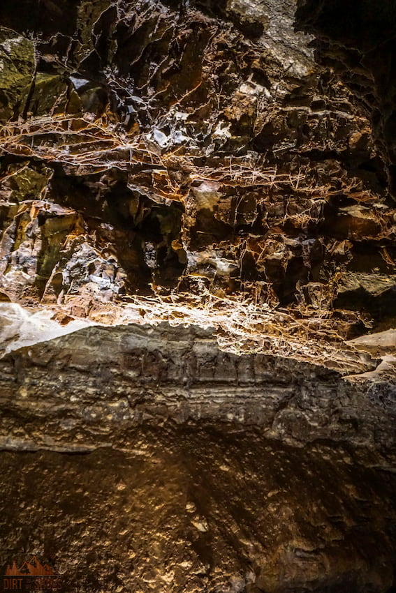 The Ultimate Wind Cave Trip Planning Guide - Dirt In My Shoes