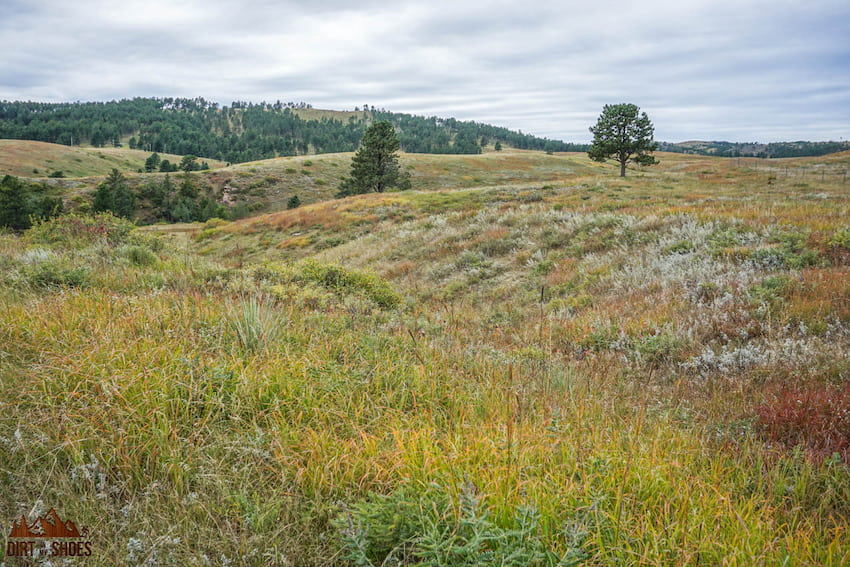 Best Things to Do at Wind Cave: For Every Traveler