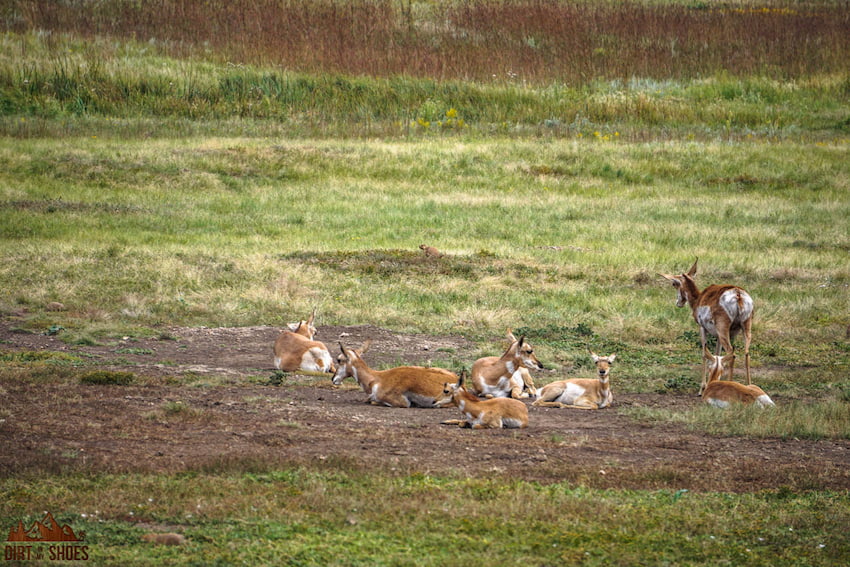 The Best Time to Visit Wind Cave National Park