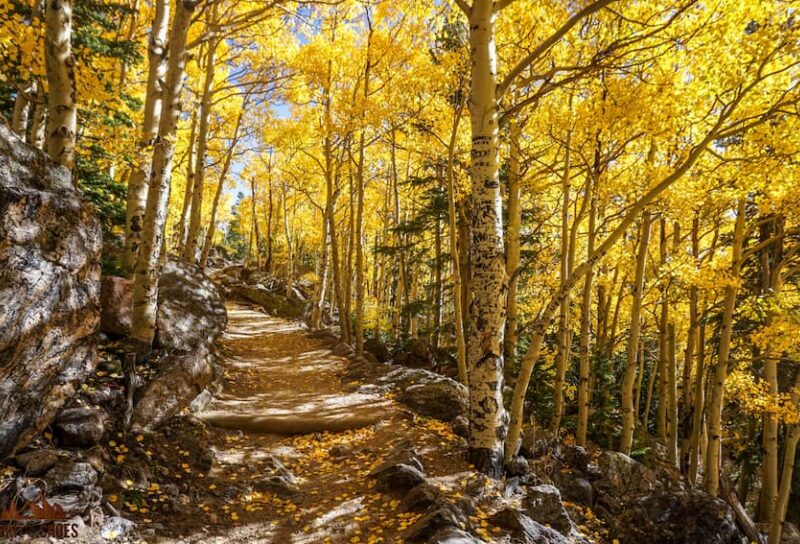 The 10 Best National Parks for Seeing Fall Color