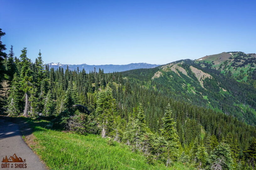 5 Best Short and Easy Hikes in Olympic National Park