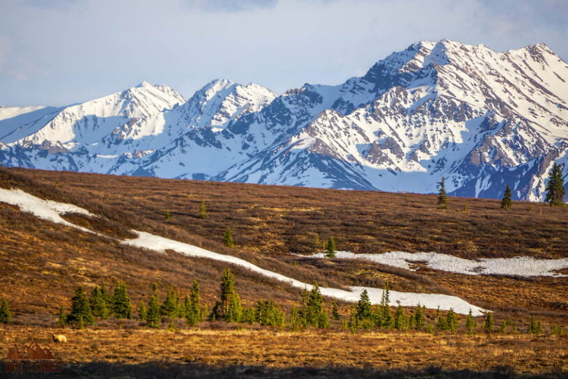 Alaska's National Parks - How to See All Eight!