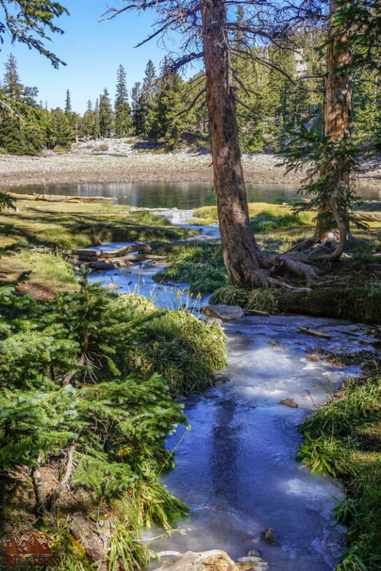Great Basin National Park Fun Facts: 6 Things You Didn't Know