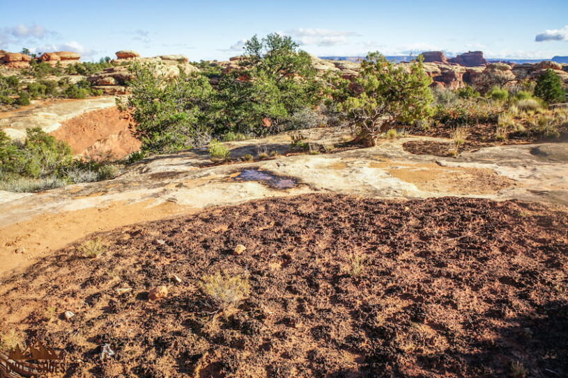 5 Fascinating Fun Facts about Canyonlands National Park